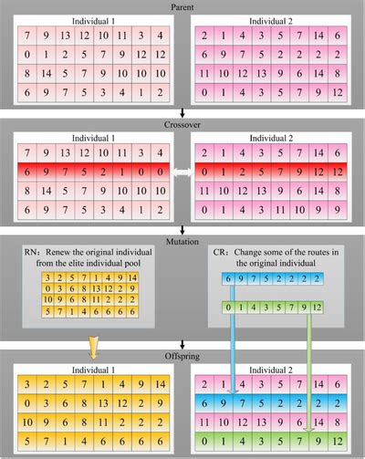 Crossover And Mutation Procedures In The Proposed Algorithm Download