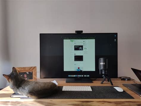 Filip Rakowski On Linkedin What Are Your Cat Recommendations For Apple