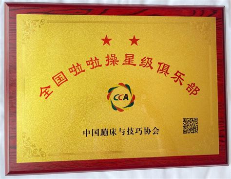 阳光啦啦操，精彩331——体育学院参加第五届中国啦啦操文化纪 长沙理工大学 体育学院