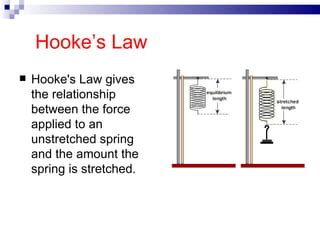 Hook S Law PPT