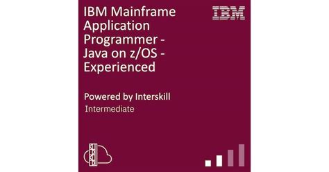 丁鑫华 On Linkedin Interskill Ibm Mainframe Application Programmer Java On Zos