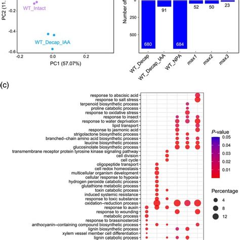 Whole‐genome Differential Gene Expression Analysis A Clusters Of Download Scientific Diagram