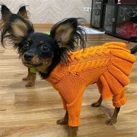 Одежда для собак платье комбинезон с закрытым животиком в интернет магазине на Ярмарке Мастеров