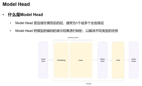 14 基础组件之model（上）基本使用pytorchmodel Csdn博客