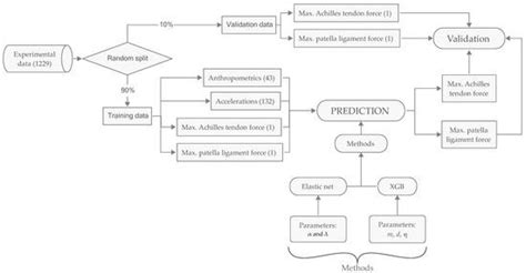 John Rasmussen On Linkedin Predicting Tissue Loads In Running From Inertial Measurement Units