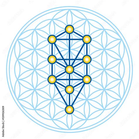 Tree Of Life Symbol Sacred Geometry
