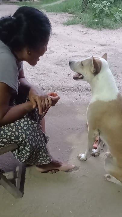 အမေစကားပြောတာ သူ နားထောင်🥰 Youtube