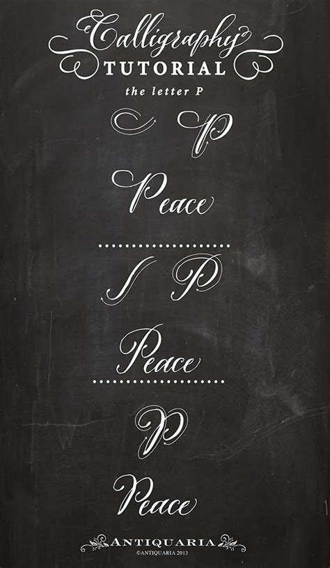Antiquaria Calligraphy Tutorial The Capital Letter P