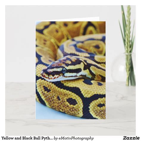 yellow and black ball python resting card zazzle