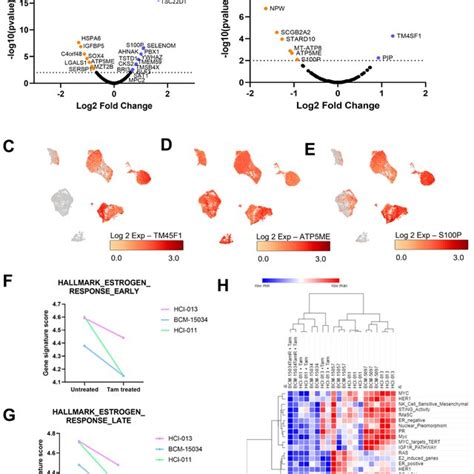 Single Cell And Bulk Transcriptomic Profiling Of Tamoxifen Treated Pdx Download Scientific