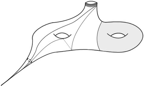 The Hyperbolic Surface S Documentclass[12pt]{minimal} Download