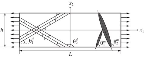 Schematic Illustration Of The Specimen Download Scientific Diagram