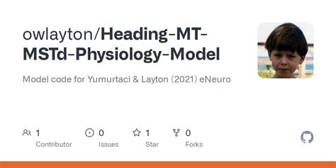 Github Owlayton Heading Mt Mstd Physiology Model Model Code For Yumurtaci And Layton 2021 Eneuro