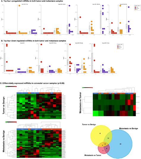 Figure 1 From Exploration Of Small Rna Seq Data For Small Non Coding Rnas In Human Colorectal