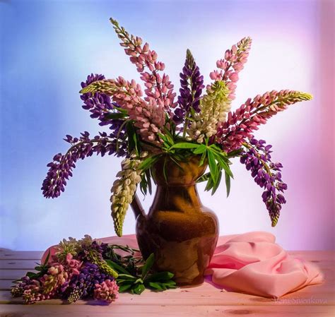 Натюрморты фото натюрморты с цветами и фруктами Социальная сеть