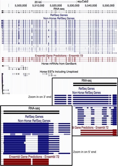 Ucsc Screenshot Of Fn1 Rna Seq Defined Transcripts This Gene Loci