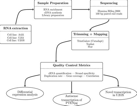 Flowchart Giving An Overview Of The Experimental Design Download Scientific Diagram