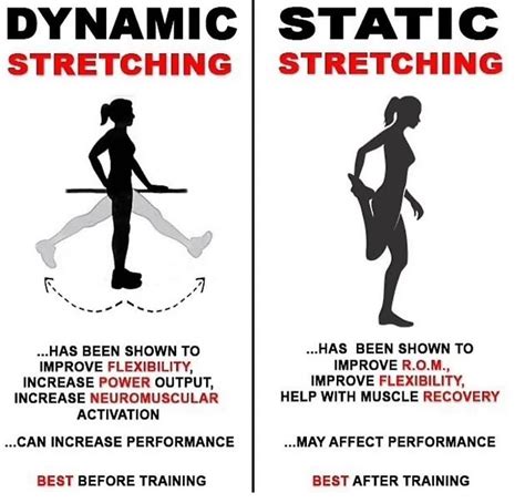 Static Vs Dynamic Stretching What You Need To Know — Perfectly Aligned Chiropractic