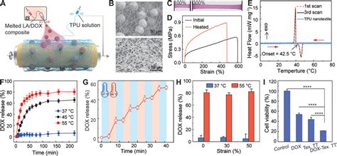 Compliant Composite Nanotextile Dressing A Schematic Illustration Of Download Scientific
