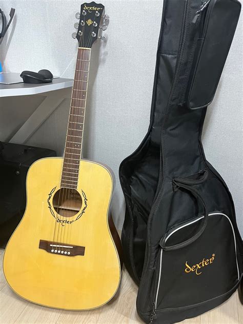 덱스터 D 9 통기타 판매 당근마켓 중고거래