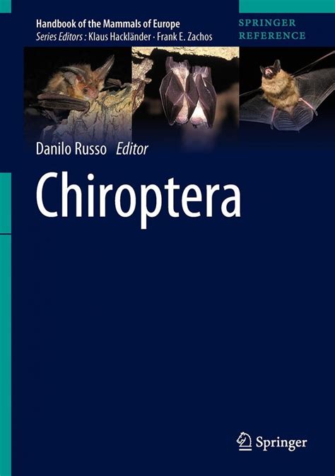 Chiroptera Veldshop