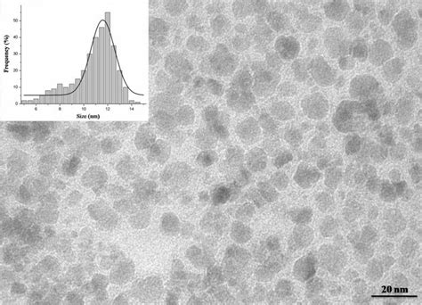 Tem Of Fe3o4 Nanoparticles The Inset Shows The Size Distribution Of