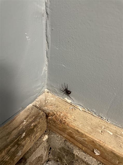 Found In Garage Touched With Pen Tip To See Underside And It Kinda