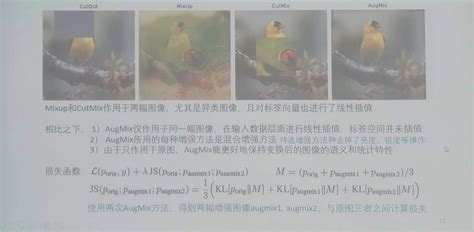 深度学习—常用的图像增广技术 Jevonchao 博客园