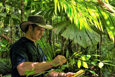 The Amazing Biodiversity Of Daintrees Lot 155 Rainforest 4