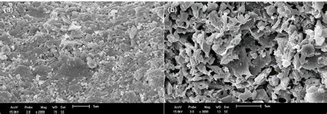 Scanning Electron Microscopy Sem Of The Tubular Ceramic Membrane A Download Scientific