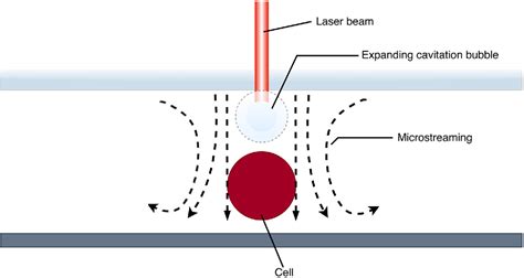 Figure 1 From Microfluidic Single Cell Analysis Toward Integration And Total On Chip Analysis