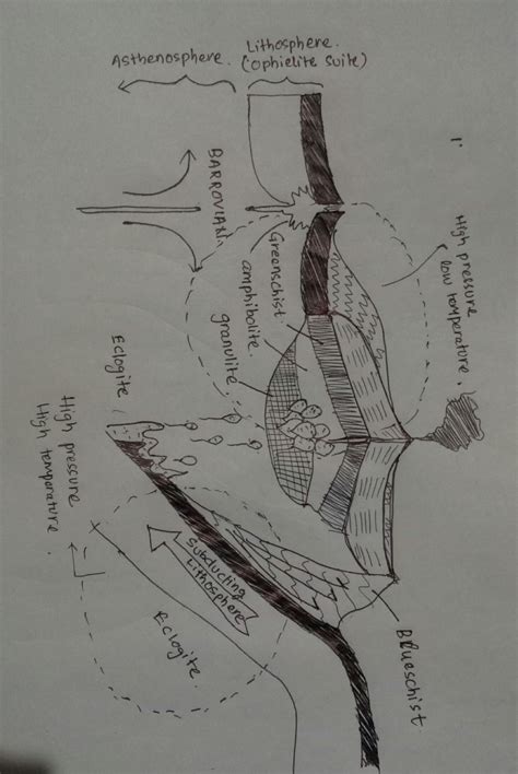 Solved Draw A Schematic Cross Section Through An Active Subduction Zone Course Hero