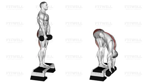 Dumbbell Jefferson Curl Exercise Guide Techniques Benefits How To