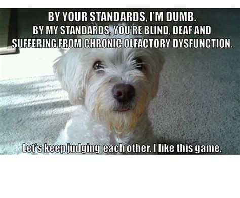 Dog Telling Joke Meme