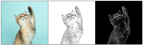 Opencv フィルタ処理で画像のノイズを低減する方法｜すらぷろ