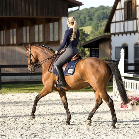 Equestrienne 4 Images By Honxer On Deviantart