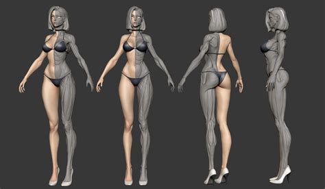 Exercise 011 Turtle And Turtle