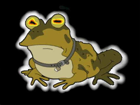 Hypno Toad GIFs Find Share On GIPHY
