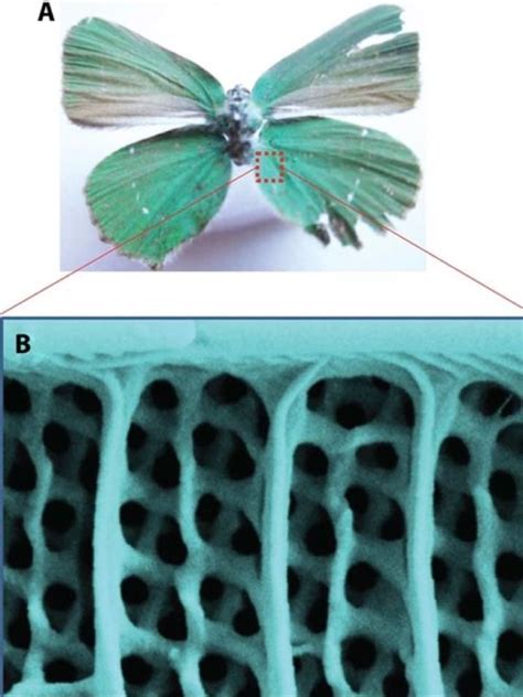 Roy Williams On Linkedin Cool Gyroid Lattice Structure By Nature