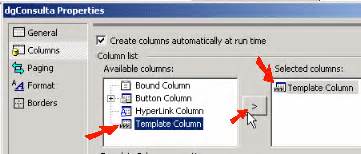 ASP NET DataGrid CheckBox e Paginação