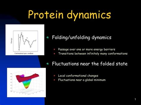 Ppt Protein Dynamics Powerpoint Presentation Free Download Id9344626
