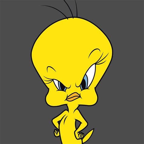 100 Tweety Bird Pictures