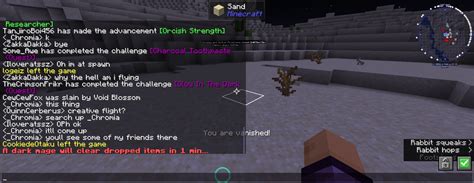 DarkTimer Clear Entity Lag Fabric Forge