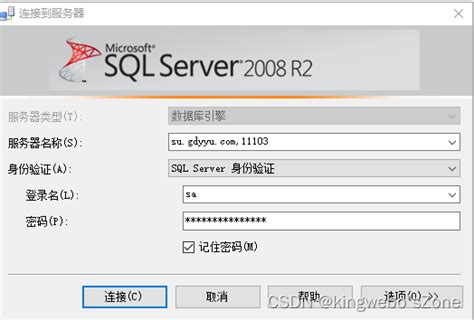Sql Server数据库端口访问法