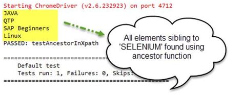 Selenium Chromedriver