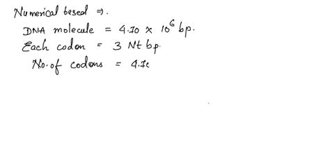 Solved The Genetic Information Contained In Dna Consists Of A Linear