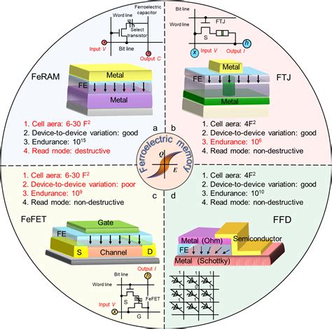 实验室Nature Communications一种新型非易失性存储器 铁电鳍式二极管