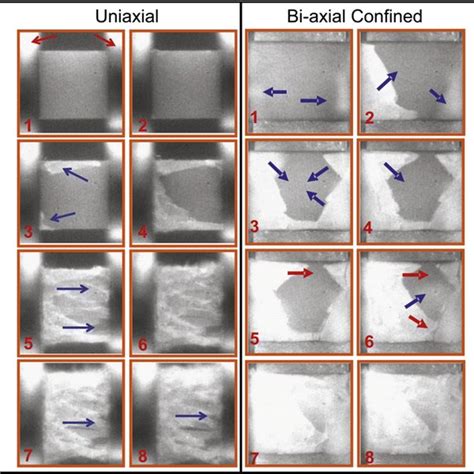 Qianbing Zhang Associate Professor Phd Monash University Australia Melbourne