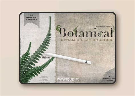 Botanical 30 Dynamic Leaf Brushes For Procreate