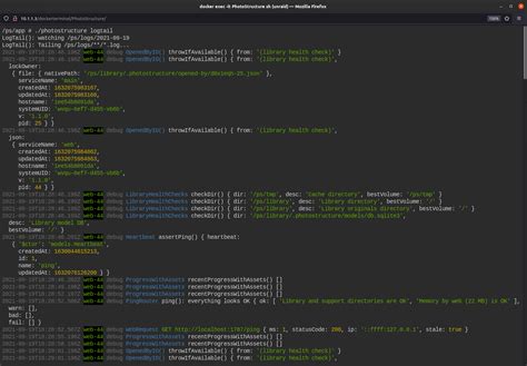 Debugging On Unraid Tips PhotoStructure Forum